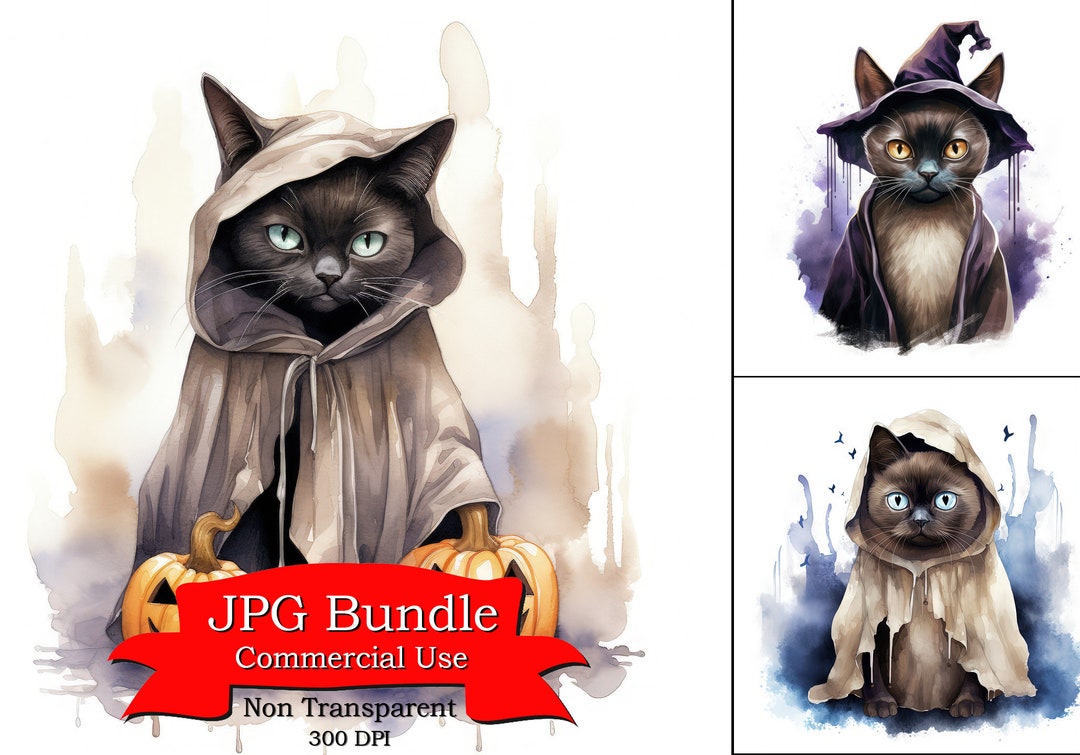 Cute Burmese Cat Spooky Halloween Costume Ghost Witch - Etsy Australia