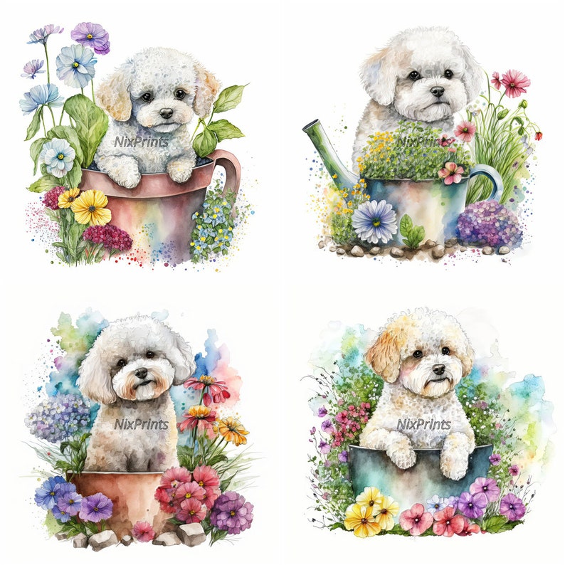 Bichon Frise Clipart With Spring Flowers and Gardening Theme - Etsy