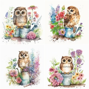 Spring Owl Clipart and Digital Papers for Commercial Use, Printable ...