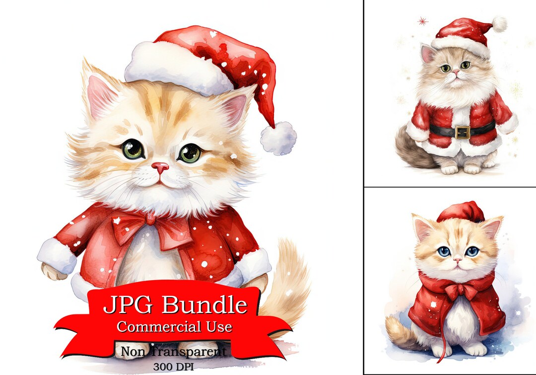 Cute Munchkin Cat Clipart, Santa Claus Dress, White Background Clipart ...