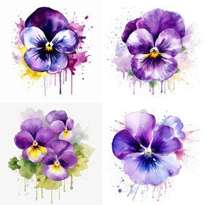Viola Flower Paint Splash Clipart, Watercolor Art, Digital Paper ...