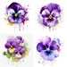 Viola Flower Paint Splash Clipart, Watercolor Art, Digital Paper ...