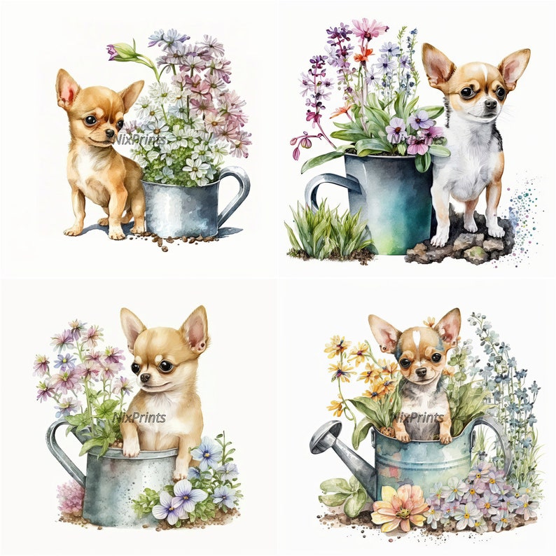 Chihuahua Puppy Clipart High Quality Jpgs Commercial Use - Etsy