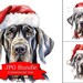 Cute Great Dane Clipart, Santa Claus Dress, White Background ...