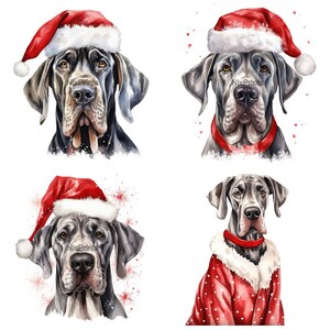 Cute Great Dane Clipart, Santa Claus Dress, White Background ...