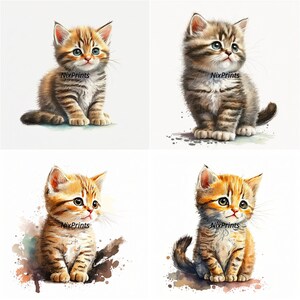 Commercial Use Kitten Clipart -high Quality Digital Cliparts in 300 DPI ...