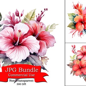 Hibiscus Bouquet Watercolor Digital Clipart Digital Paper Crafting ...