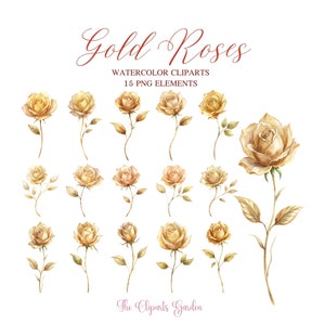 Gold Roses Watercolor PNG 15 Floral Cliparts - Wedding Template Frame ...