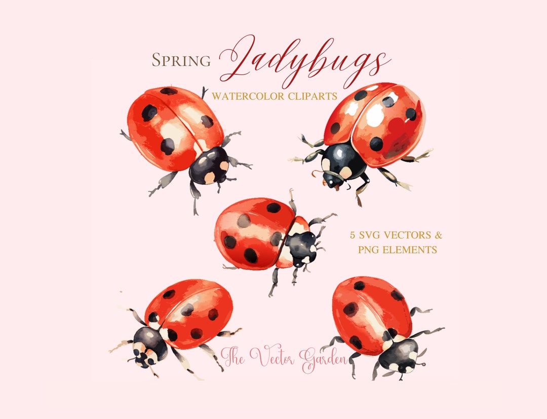 Ladybug Watercolor SVG 5 Insects Clipart - Garden Lady Bugs Cliparts ...