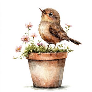 10 Bird on a Plant Pot JPEG Clipart, Digital Paper, Watercolor Ephemera ...