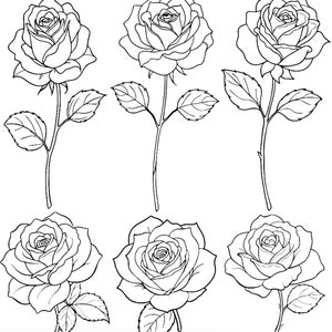 English Tea Roses Line Art Ink Bouquets - 15 Floral Clipart Png - Roses ...