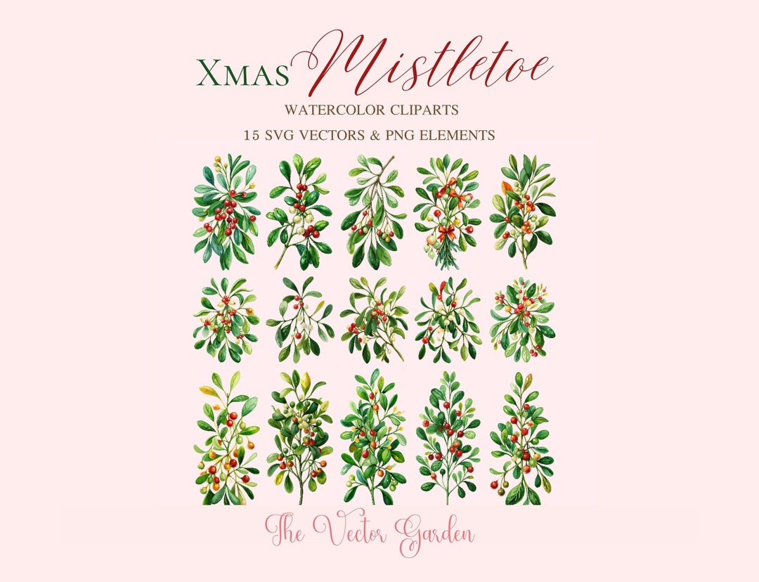 Mistletoe Flower Watercolor SVG 15 Floral Clipart - Wedding Flowers ...
