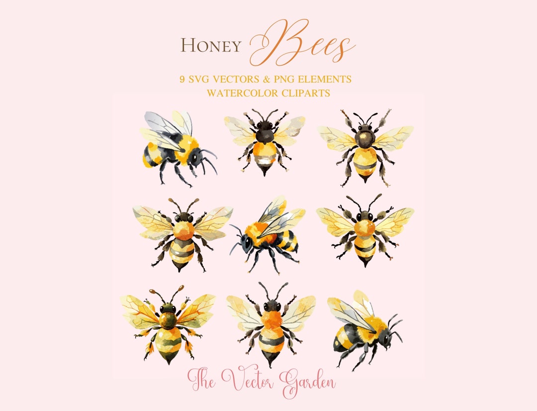 Bees Watercolor SVG 12 Insects Clipart - Garden Bee Bugs Cliparts PNG ...