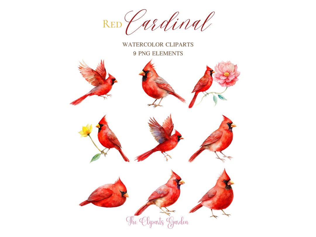 Red Cardinal Watercolor 9 Cute Red Flying Birds Clipart - Wedding Bird ...