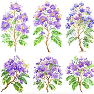 Jacaranda Watercolor SVG Set of 15 Floral Clipart - Wedding Flowers ...