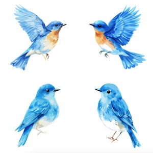 Blue Bird Watercolor SVG 9 Cute Clipart - Garden Flying Bluebirds ...