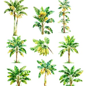 Banana Tree Watercolor SVG 9 Cliparts - Wedding Tropics Clipart PNG ...