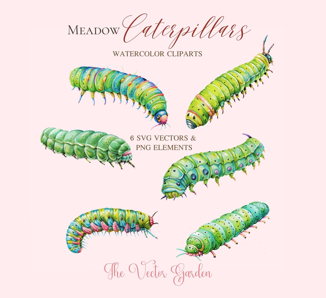 Caterpillar Watercolor SVG 6 Insects Clipart - Garden Green Caterpillar ...