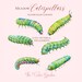 Caterpillar Watercolor SVG 6 Insects Clipart Garden Green Caterpillar ...