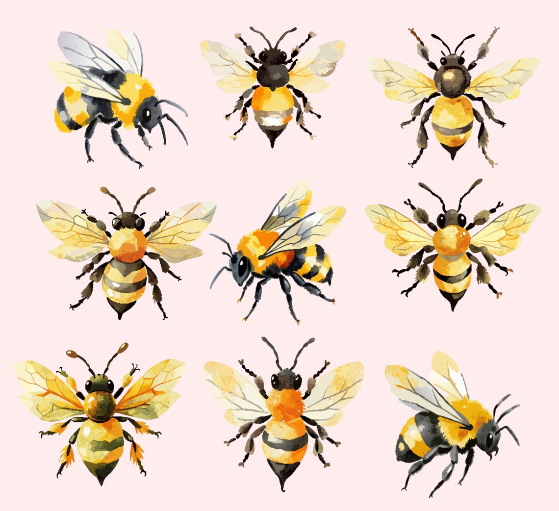 Bees Watercolor SVG 12 Insects Clipart - Garden Bee Bugs Cliparts PNG ...