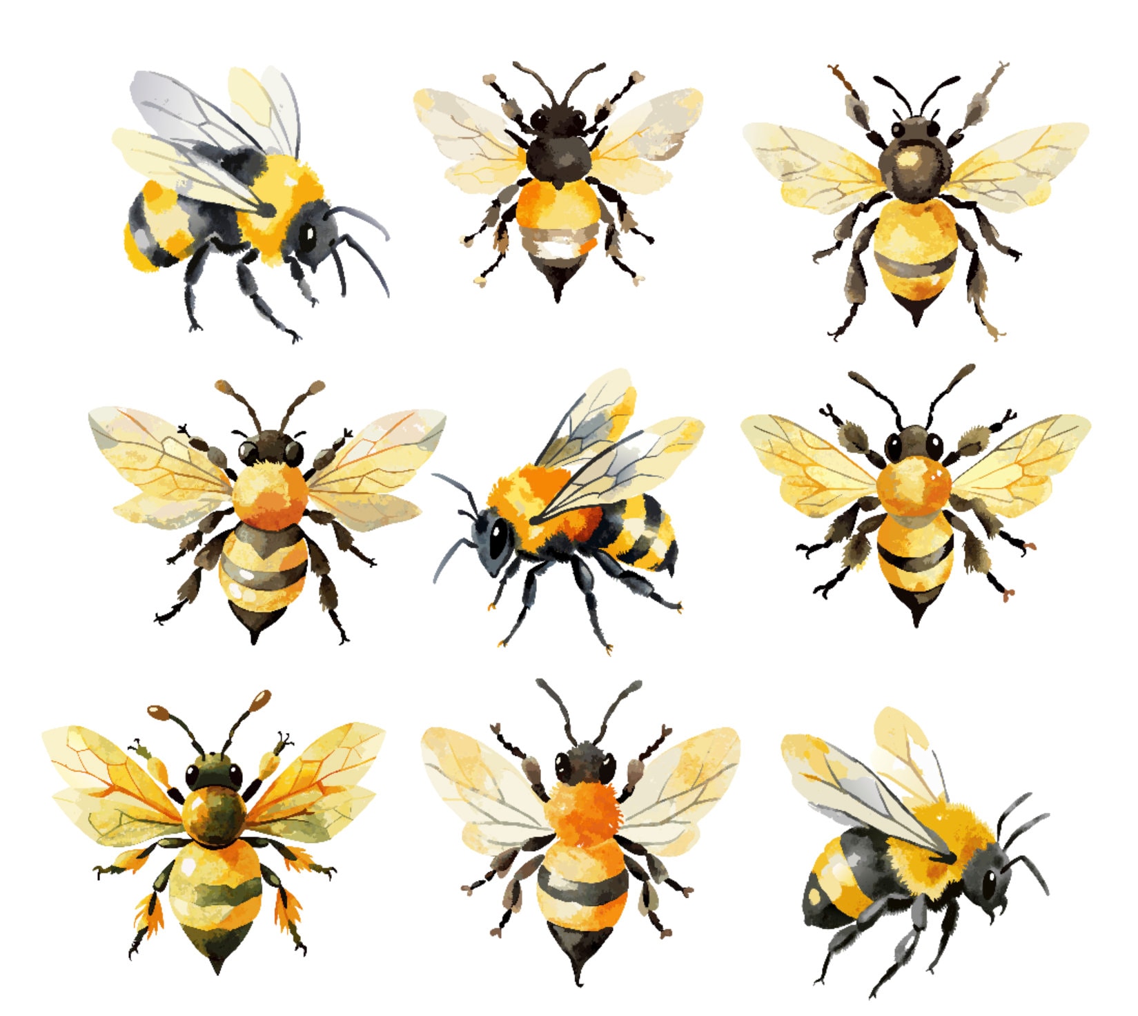 Bees Watercolor SVG 12 Insects Clipart - Garden Bee Bugs Cliparts PNG ...