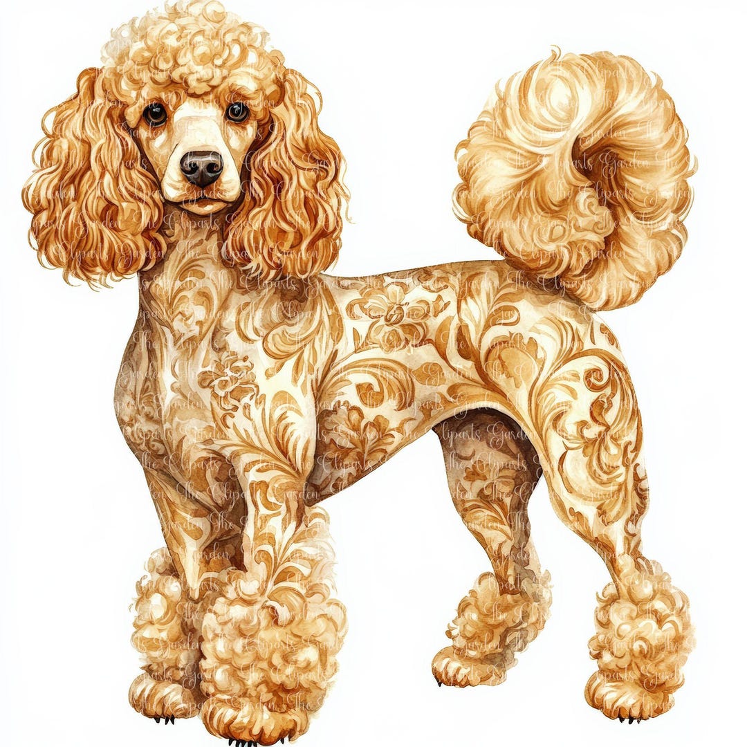 10 Baroque Gold Poodles JPEG Clipart, Digital Paper, Watercolor ...