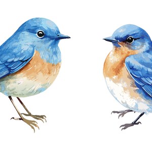 Blue Bird Watercolor SVG 9 Cute Clipart - Garden Flying Bluebirds ...