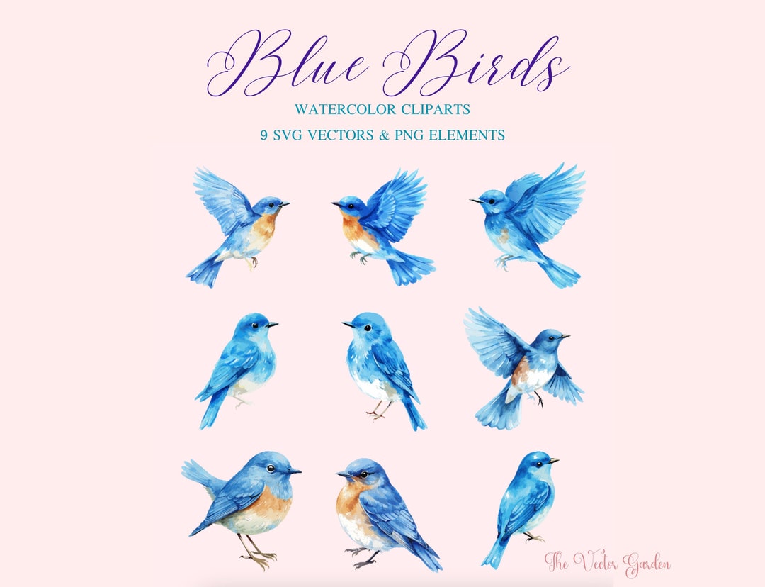 Blue Bird Watercolor SVG 9 Cute Clipart - Garden Flying Bluebirds ...