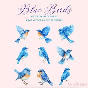 Blue Bird Watercolor SVG 9 Cute Clipart - Garden Flying Bluebirds ...