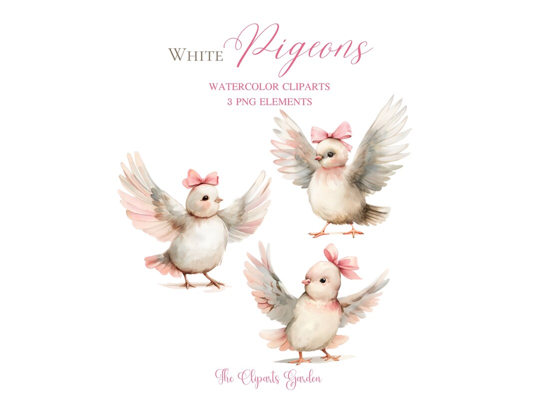 Coquette White Pigeons Watercolor 3 Cute Flying Birds Clipart - Wedding ...