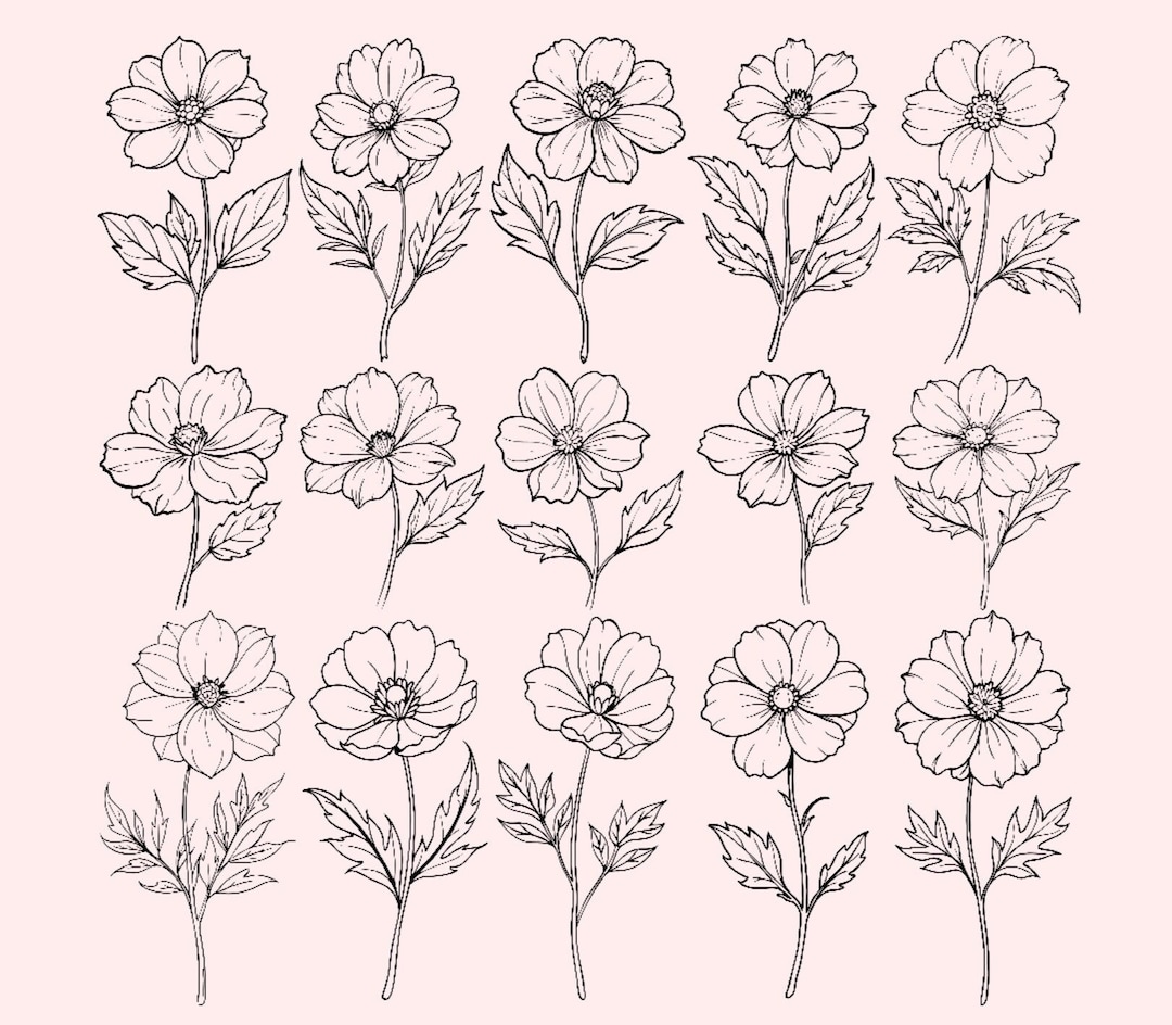 Cosmos Flower Line Art Ink SVG Set of 15 Floral Cliparts - Wedding ...