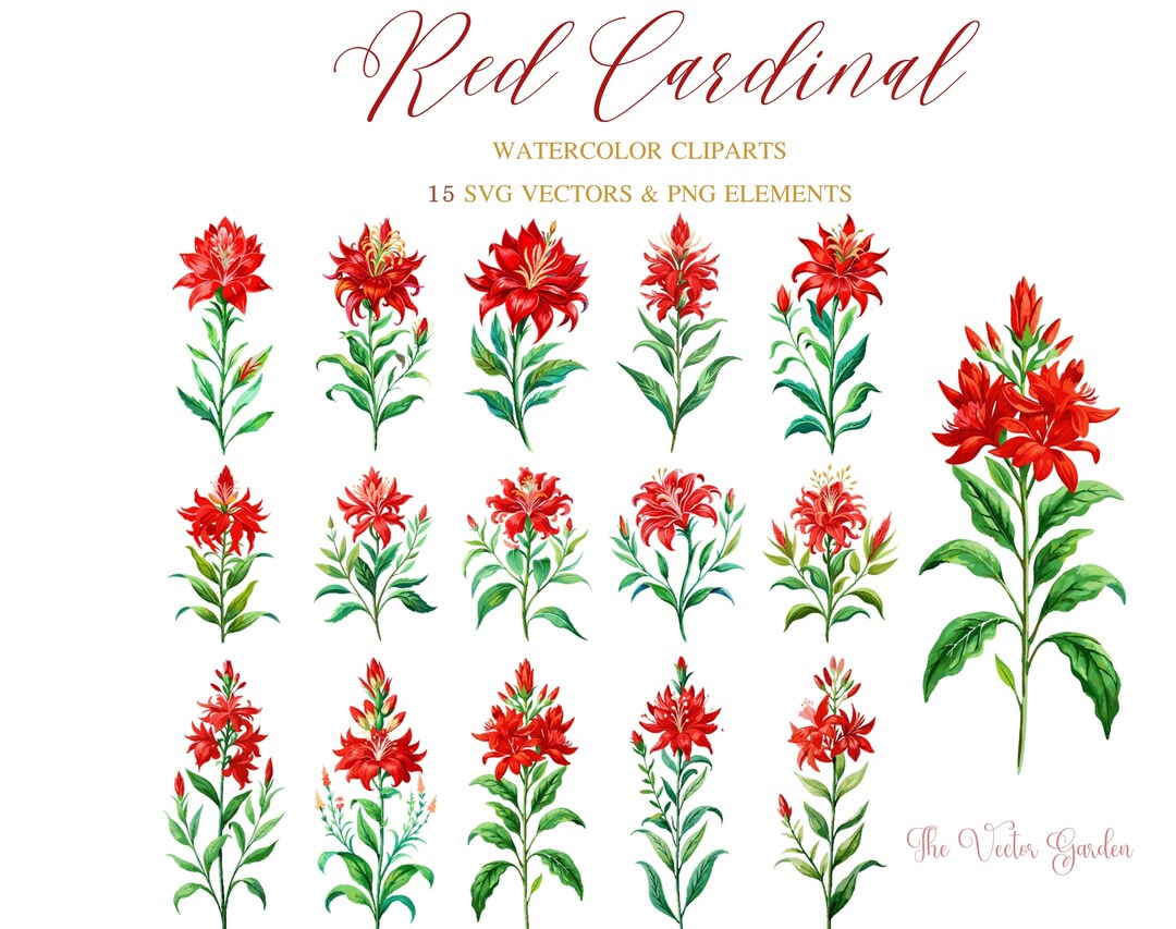 Red Cardinal Flower Watercolor SVG Set of 15 Floral Clipart - Wedding ...