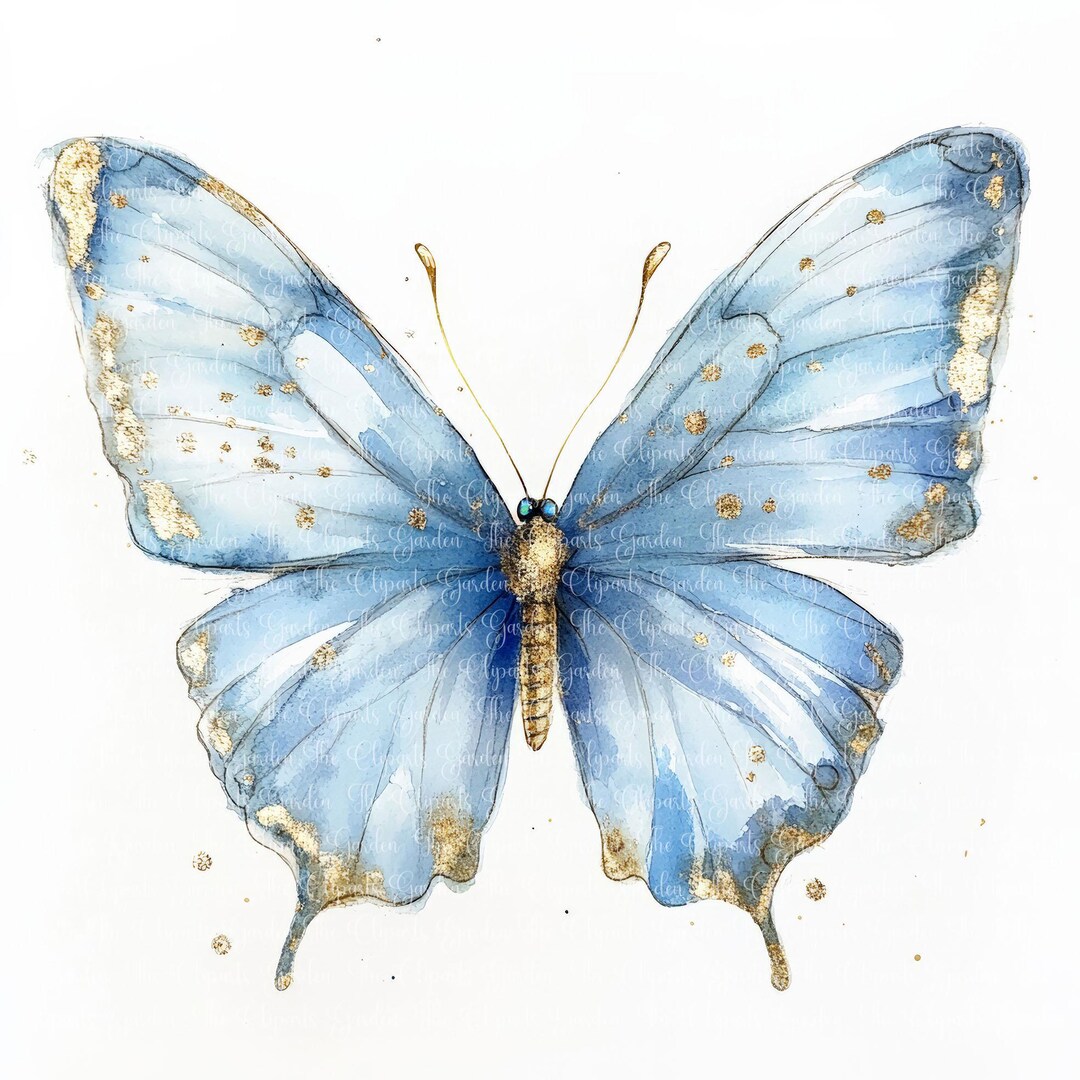 10 Blue and Gold Butterfly JPEG Clipart, Digital Paper, Watercolor ...