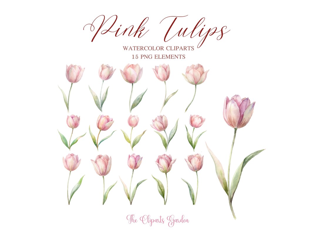 Pink Tulips Watercolor PNG 15 Floral Cliparts - Wedding Template Frame ...