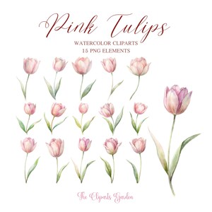 Pink Tulips Watercolor PNG 15 Floral Cliparts - Wedding Template Frame ...