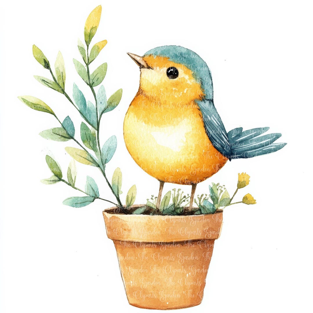 10 Bird on a Plant Pot JPEG Clipart, Digital Paper, Watercolor Ephemera ...