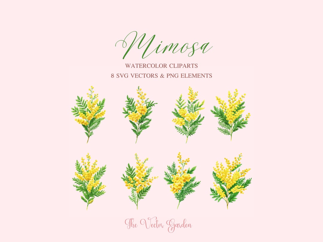Mimosa Watercolor SVG 8 Floral Cliparts - Wedding Yellow Spring ...