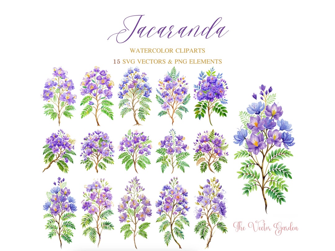 Jacaranda Watercolor SVG Set of 15 Floral Clipart - Wedding Flowers ...