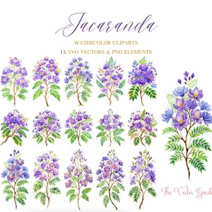 Jacaranda Watercolor SVG Set of 15 Floral Clipart - Wedding Flowers ...