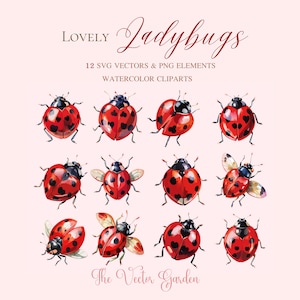 Ladybug Watercolor SVG 12 Insects Clipart - Garden Lady Bugs Cliparts ...