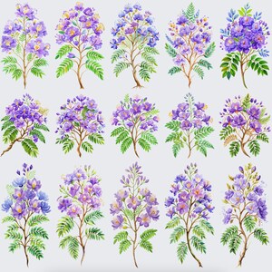 Jacaranda Watercolor SVG Set of 15 Floral Clipart - Wedding Flowers ...