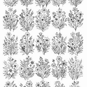 Botanical Bliss Line Art Ink Bouquets - Floral Clipart Png Svg ...