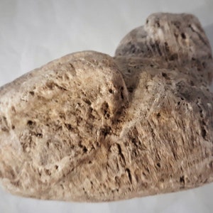 Paleo Indian Stone Effigy Florida Keys or Everglades - Etsy