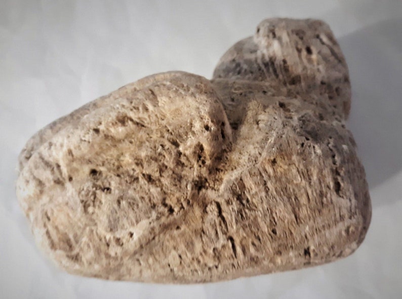 Paleo Indian Stone Effigy Florida Keys or Everglades - Etsy