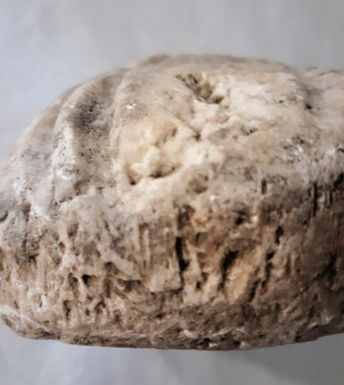 Paleo Indian Stone Effigy Florida Keys or Everglades - Etsy