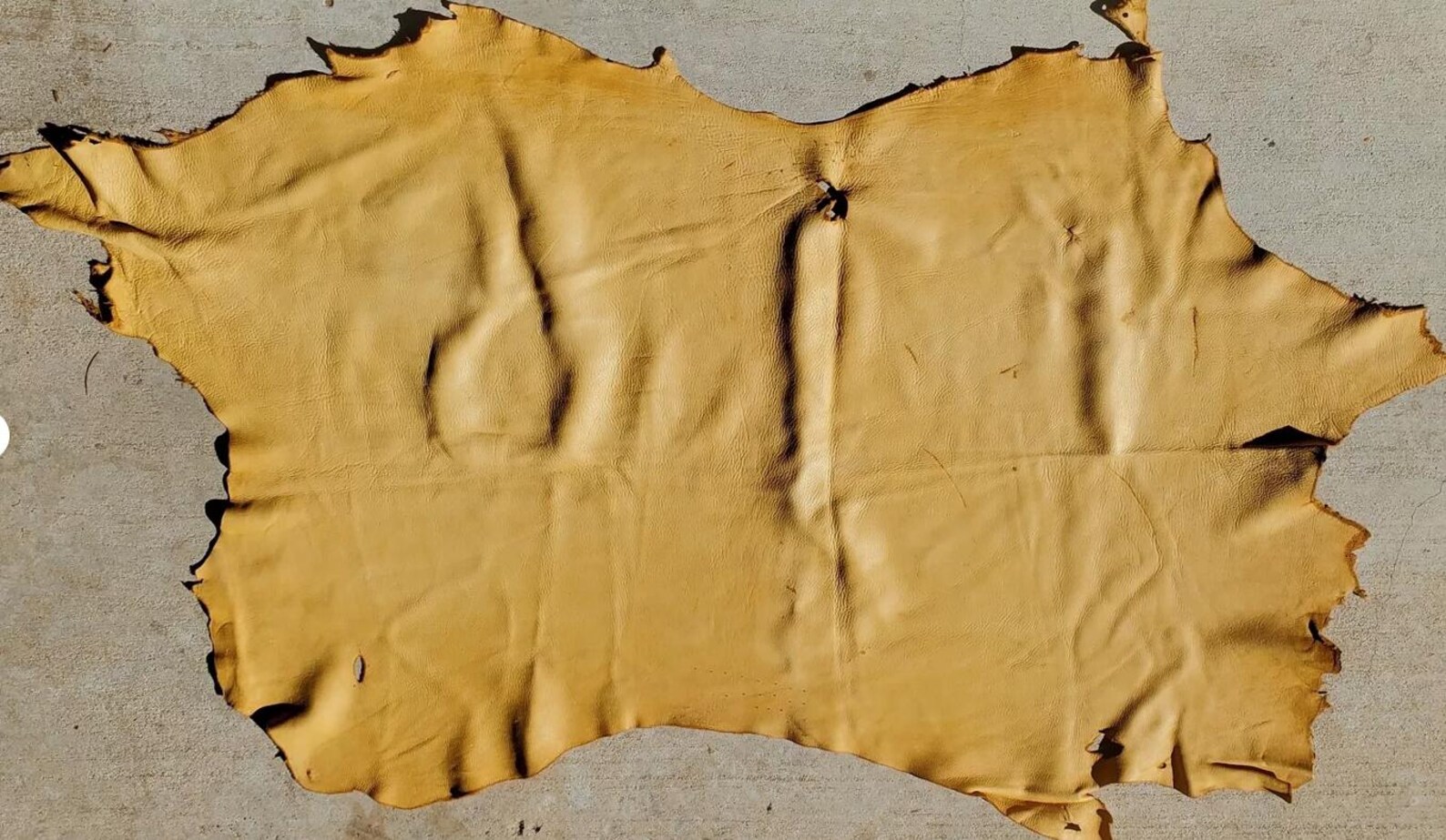 Full Hide Tanned Deer Skin Native Crafts Regalia Gloves Drum Head ...