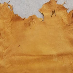 Full Hide Tanned Deer Skin Native Crafts Regalia Gloves Drum Head ...