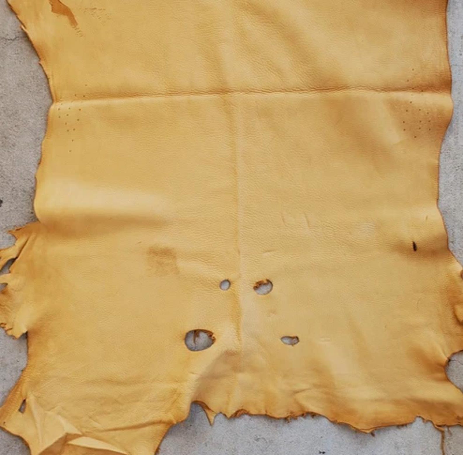Full Hide Tanned Deer Skin Native Crafts Regalia Gloves Drum Head ...