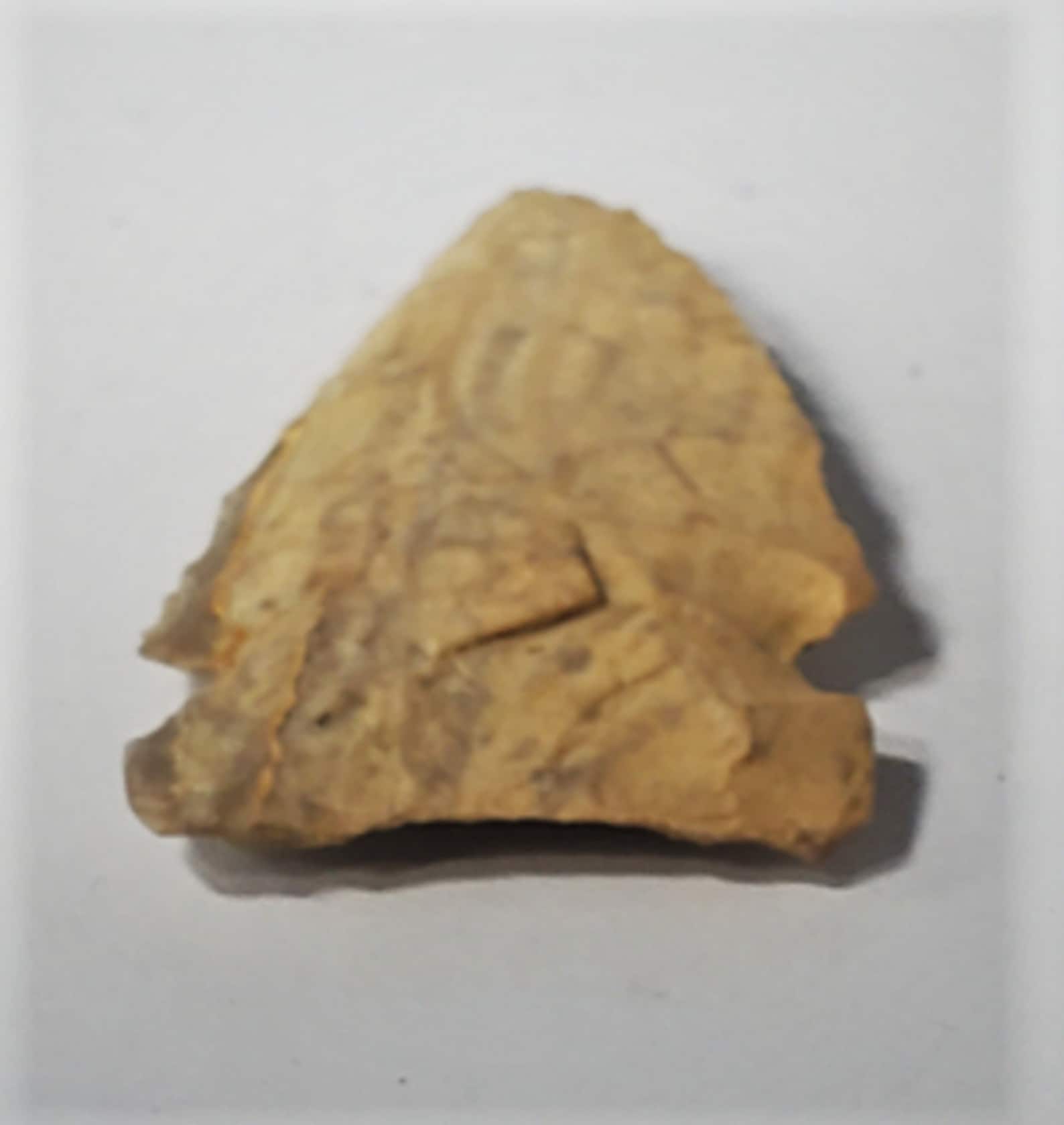 Ancient AL Archaic Side Notch Tan Chert Arrowhead Lot - Etsy