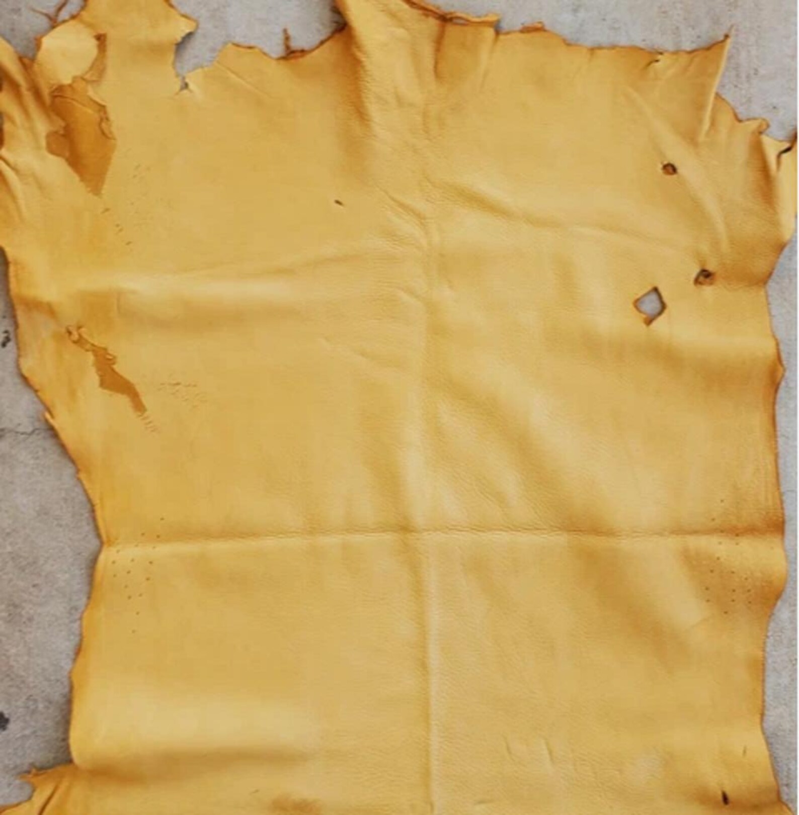 Full Hide Tanned Deer Skin Native Crafts Regalia Gloves Drum Head ...